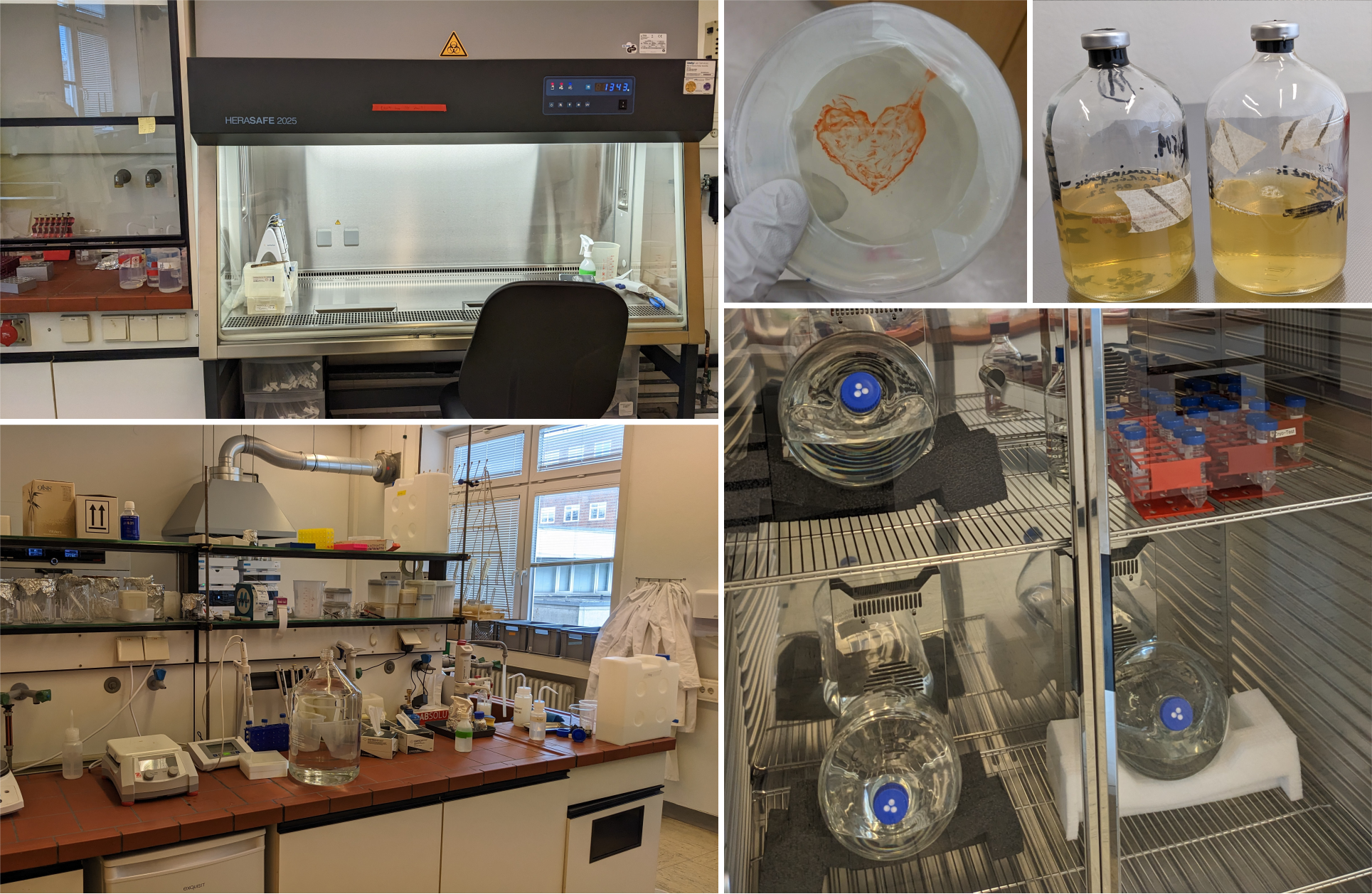 Facilities – Molecular Geobiology